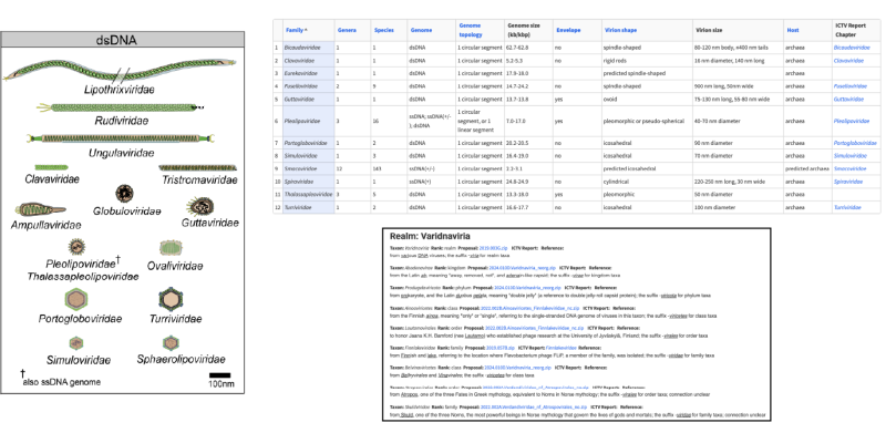 ICTV | The Classification and Nomenclature of Viruses