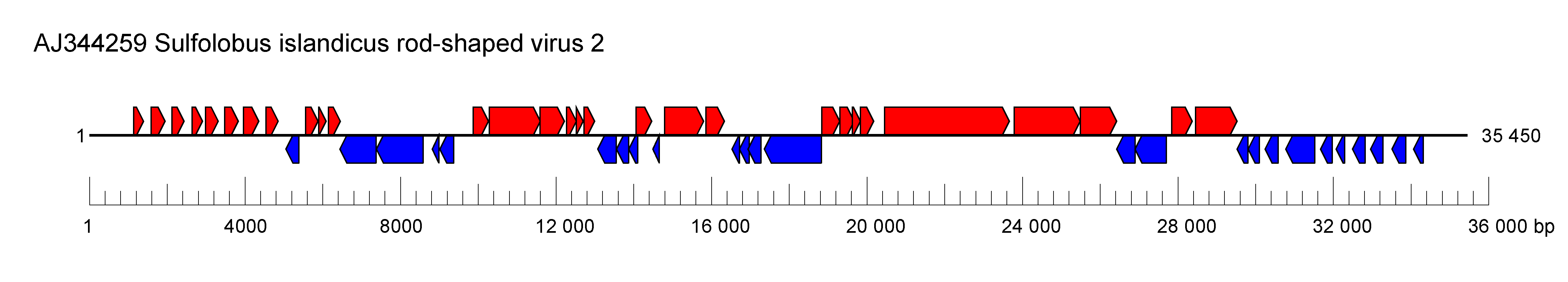Family: Rudiviridae (Interim Report) | ICTV